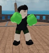 Boxing | Arcane Odyssey Wiki | Fandom