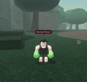 Boxing | Arcane Odyssey Wiki | Fandom