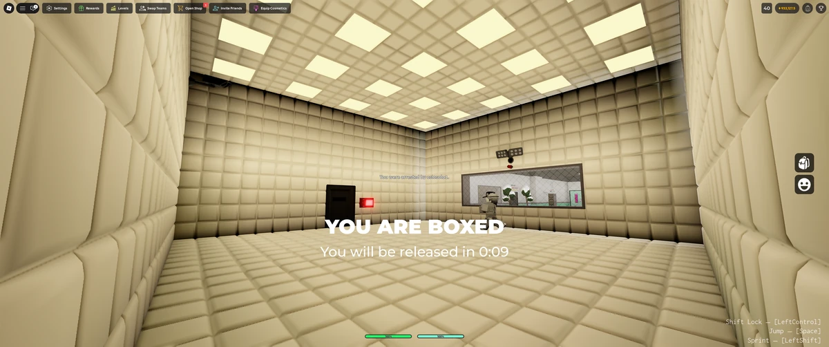 The Box | Roblox Asylum Life Wiki | Fandom
