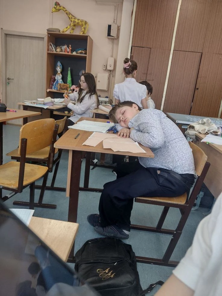 Bear | Roblox Backpacking Wiki | Fandom