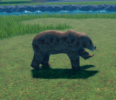 Bear | Roblox Backpacking Wiki | Fandom