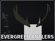 Evergreen Spirit | ROBLOX Bad Business Wiki | Fandom