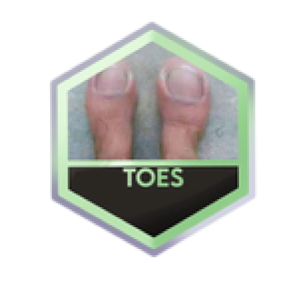 Tower of Easy Strategies | Roblox Badger Wiki | Fandom