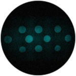 Vector Validation | Roblox BEAR Wiki | Fandom