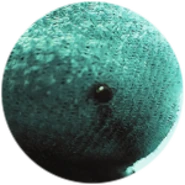 Lore | Roblox BEAR Wiki | Fandom