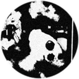 AMALGAMATION | Roblox BEAR Wiki | Fandom