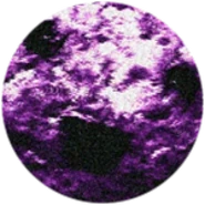 Sam/Gallery | Roblox BEAR Wiki | Fandom
