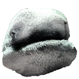 Whitey | Roblox BEAR Wiki | Fandom