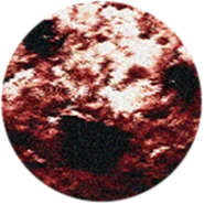 Sam/Gallery | Roblox BEAR Wiki | Fandom