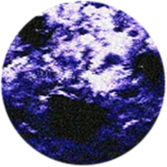 Sam/Gallery | Roblox BEAR Wiki | Fandom