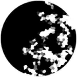 FRIEND. | Roblox BEAR Wiki | Fandom