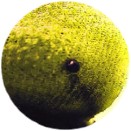 Roblox BEAR Wiki | Fandom