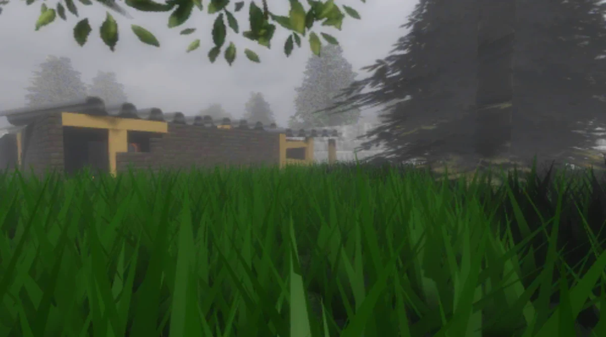 Level 62 - "Jungle Backyard" | Backrooms Infinity Wiki | Fandom