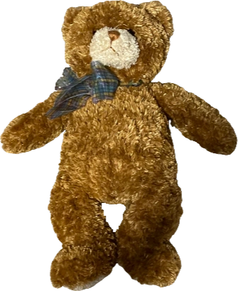 Dylan | Roblox Bird.png Wiki | Fandom