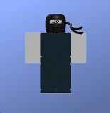 Ninja | Roblox Block Mayhem Wiki | Fandom