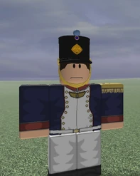 French Infantry Uniforms | ROBLOX Blood & Iron Wiki | Fandom