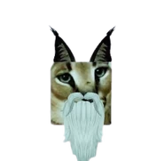 Elder Floppa | Raise a bloppa Wiki | Fandom