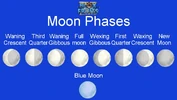 Full Moon | Blox Fruits Wiki | Fandom