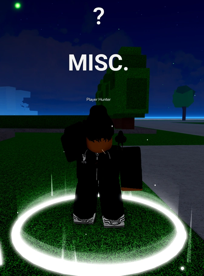 Player Hunter | Blox Fruits Wiki | Fandom