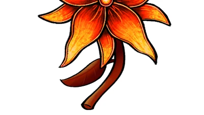 Discuss Everything About Blox Fruits Wiki | Fandom