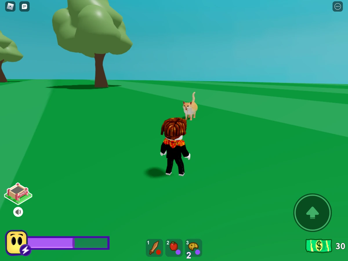 Meadows | Roblox Break In Wiki | Fandom