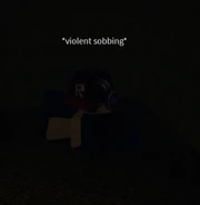 Steven Scripts | Roblox Bus Simulator Wiki | Fandom