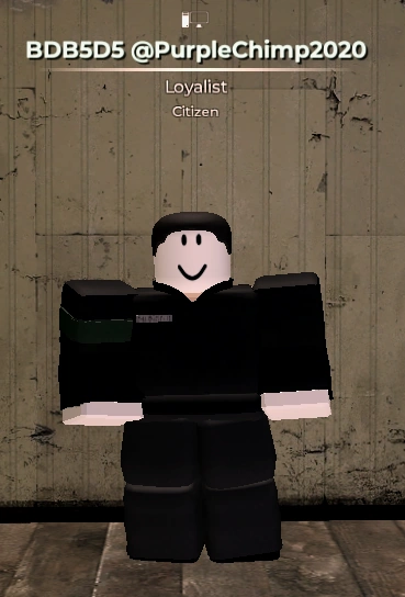 Citizen Teams | Roblox City-8 Wiki | Fandom