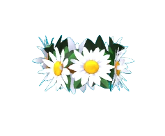Flower Wreath | Roblox Cooked! Wiki | Fandom