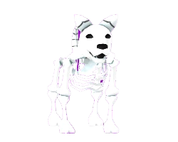 Skele-Dog | Roblox Cooked! Wiki | Fandom