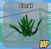 Coral | Roblox Cooked! Wiki | Fandom