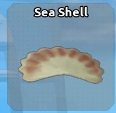 Sea Shell | Roblox Cooked! Wiki | Fandom