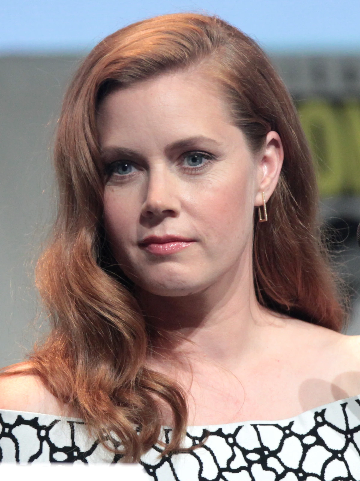 Amy Adams | DefaultGroovity's DC Universe Wiki | Fandom