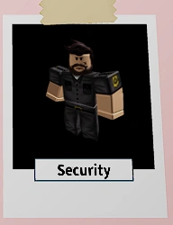 Security | Vision Works Wiki | Fandom
