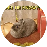 Badges | Deadline Wiki | Fandom