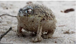 The save photos in Jtt | Roblox Difficulty Chart Obby Community Wiki ...