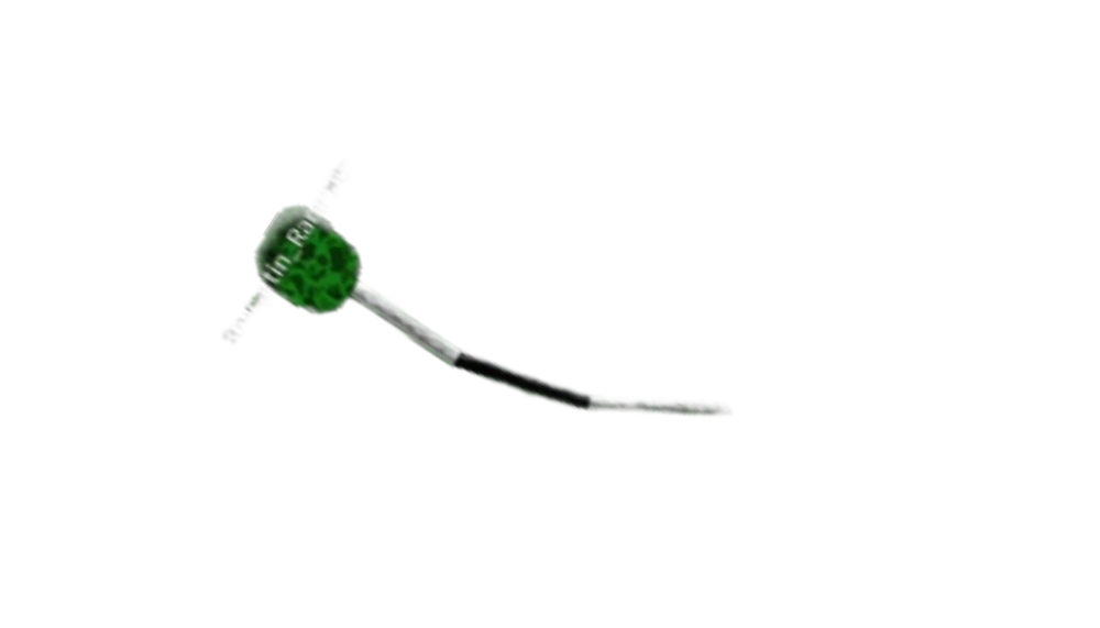 Spinta | Roblox DOOMED Wiki | Fandom