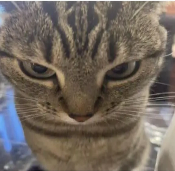 Scientist | Editor's Nextbots Wiki | Fandom