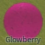 Glowberry | ROBLOX Expedition Wiki | Fandom