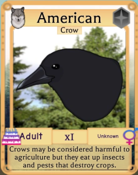 American Crow | Roblox Farm world New Wiki | Fandom