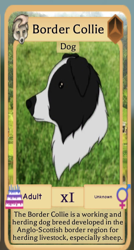 Border Collie | Roblox Farm world New Wiki | Fandom
