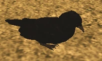 American crow | Roblox Farm World Wiki | Fandom
