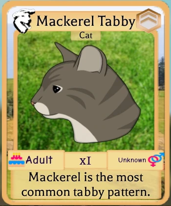 Mackerel Tabby | Roblox Farm World Wiki | Fandom
