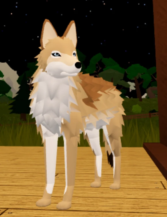 Northern Coyote | Roblox Farm World Wiki | Fandom