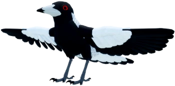 Magpie | Feather Family Wiki | Fandom