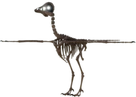 Skeleton | Feather Family Wiki | Fandom