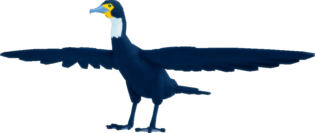 Cormorant | Feather Family Wiki | Fandom
