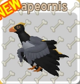 Sapeornis | Feather Family Wiki | Fandom