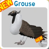 Grouse | Feather Family Wiki | Fandom