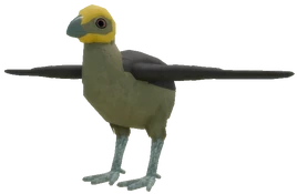 Megapode | Feather Family Wiki | Fandom