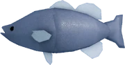Items | Feather Family Wiki | Fandom